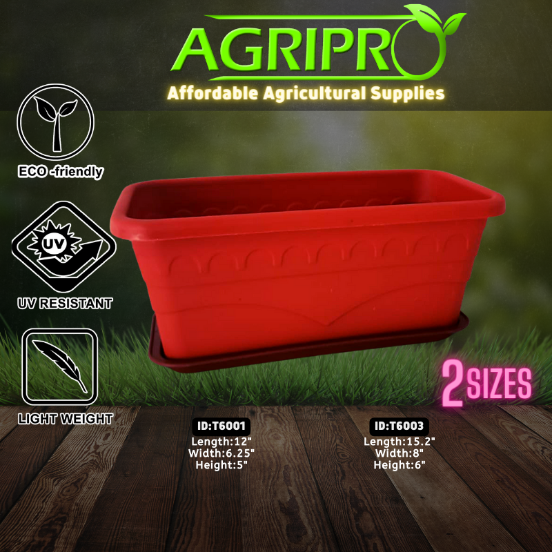 PLANT POT - SPCL GLOBAL