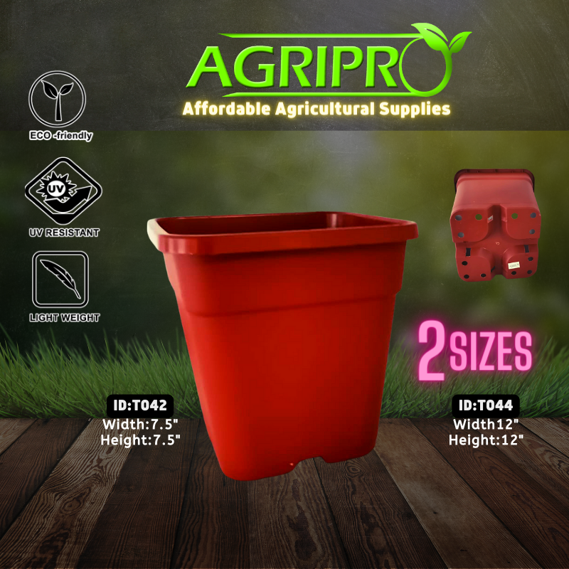 PLANT POT - SPCL GLOBAL