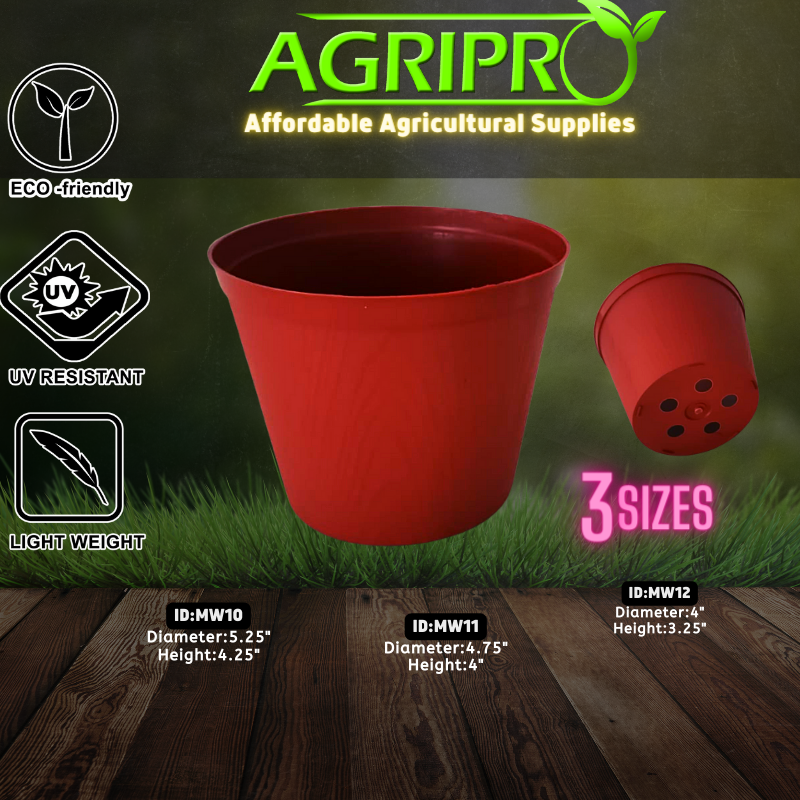 PLANT POT - SPCL GLOBAL