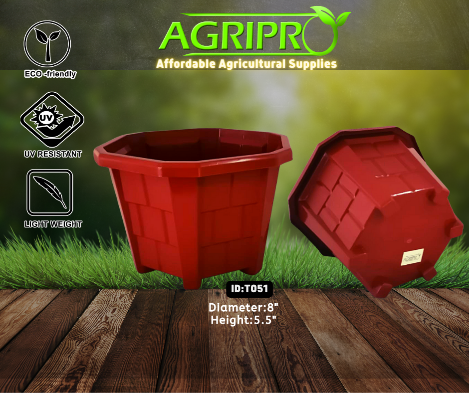 PLANT POT - SPCL GLOBAL