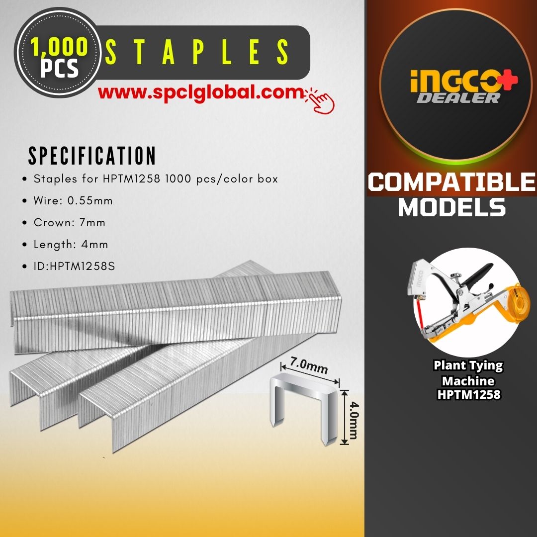 1,000 PC STAPLES - SPCL GLOBAL